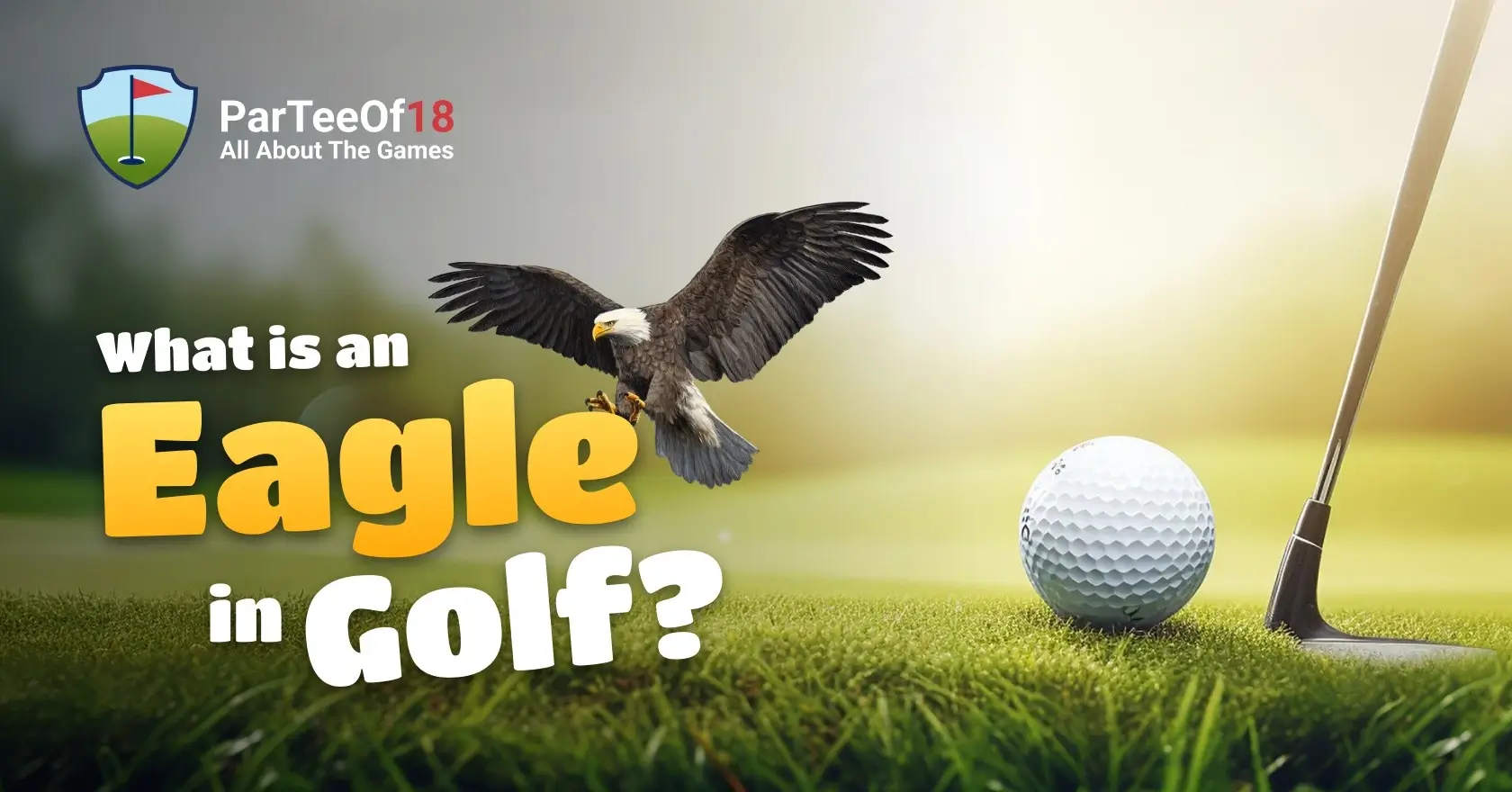 What is an Eagle in Golf? Meaning, Example & How Rare It Is?